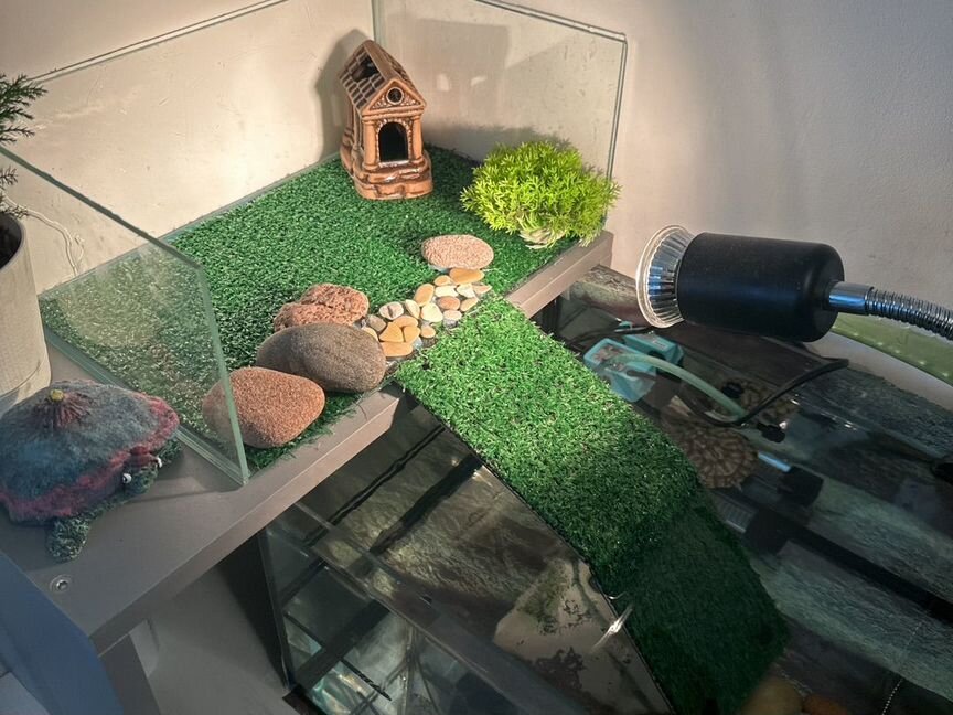 Аквариум для черепахи 20 литров