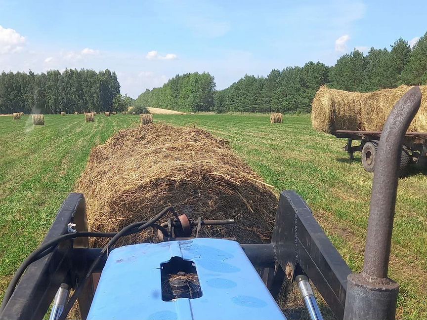 Продам сено в тюках
