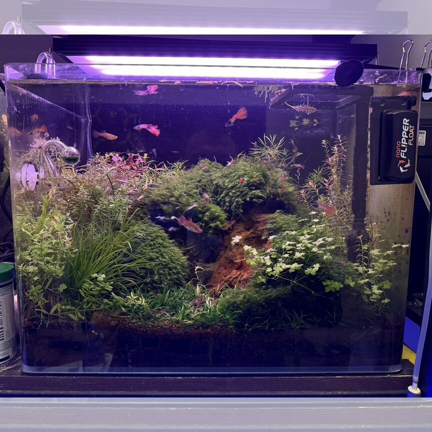 Аквариум ммини денерле 55л