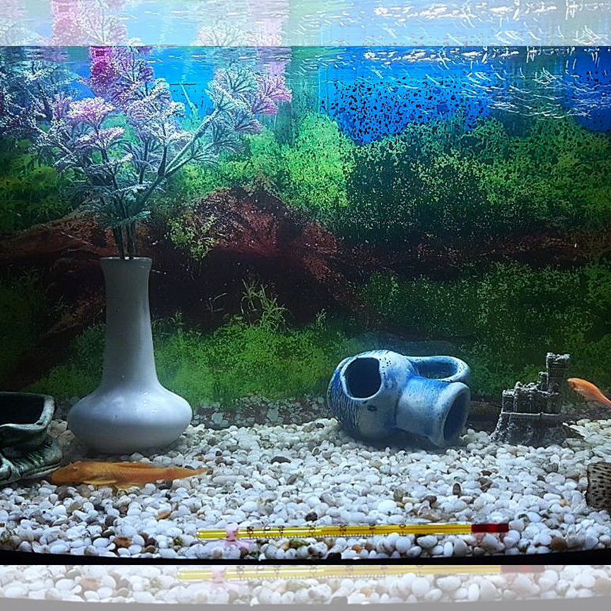 Аквариум. Продам полностью