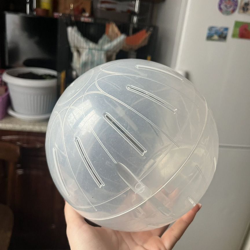 Большой шар для грызунов