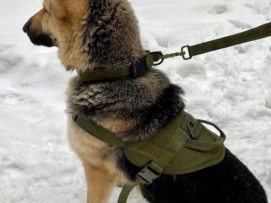 Жилет для дрессировки служебных собак поводок