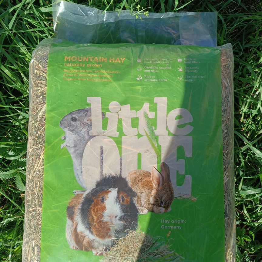 Сено для грызунов