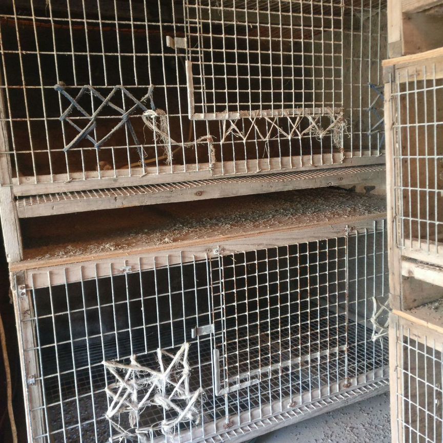 Брудер для циплят утят итд цена за 1 шт кол 10шт