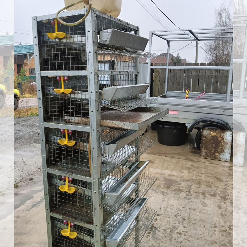 Клетки для перепелов бу