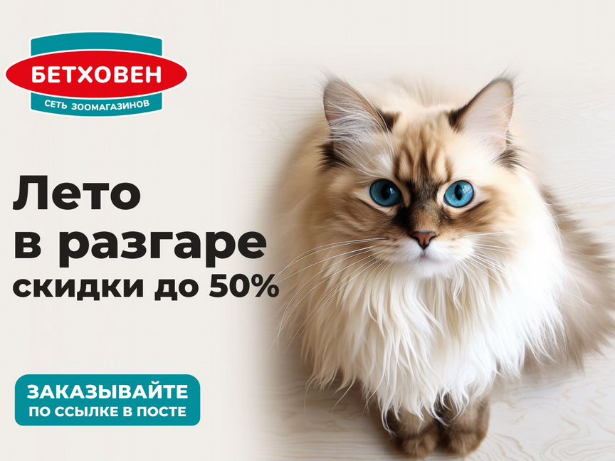Бетховен зоотовары промокод