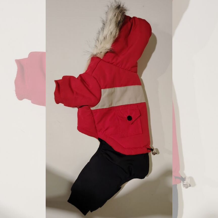 Одежда для собак мелких пород