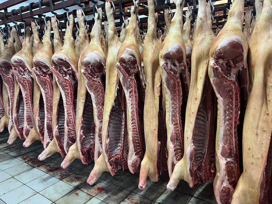 Свиные полутуши