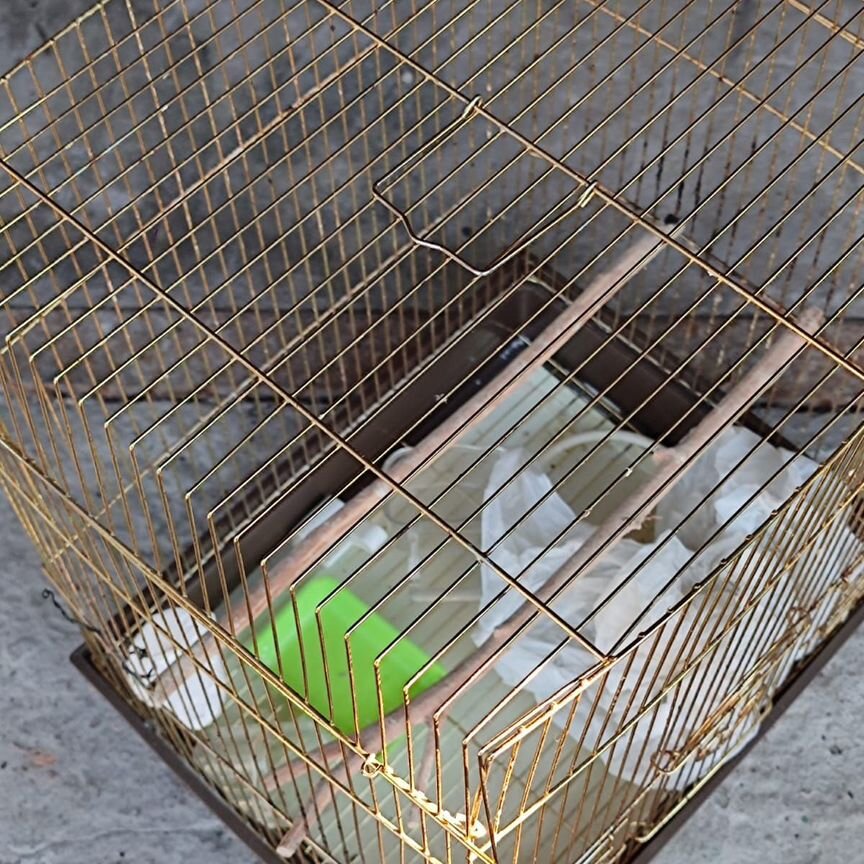 Клетка для волнистого попугая большая