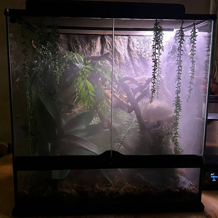 Готовый террариум для змеи с генератором тумана