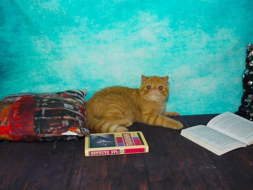 Мальчишка экзотик