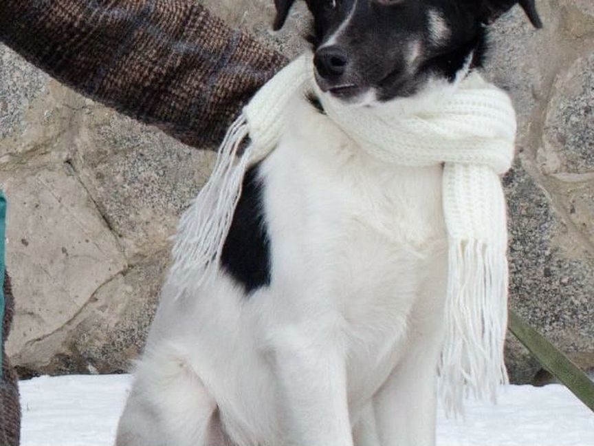 Малыш, 10 месяцев