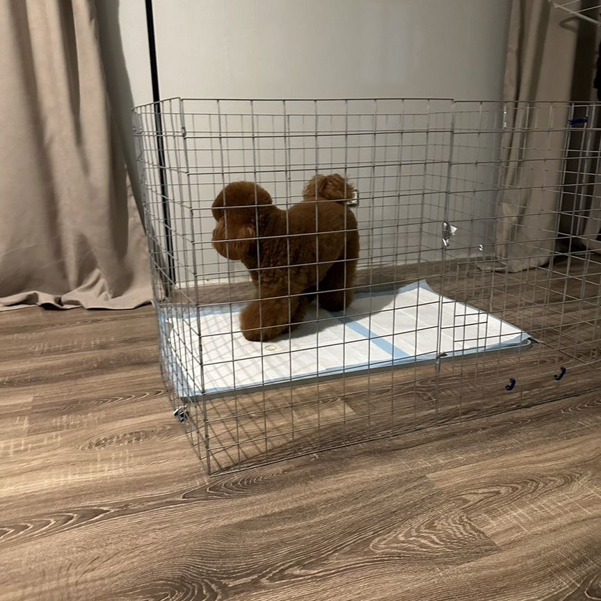 Манеж для кошек и собак