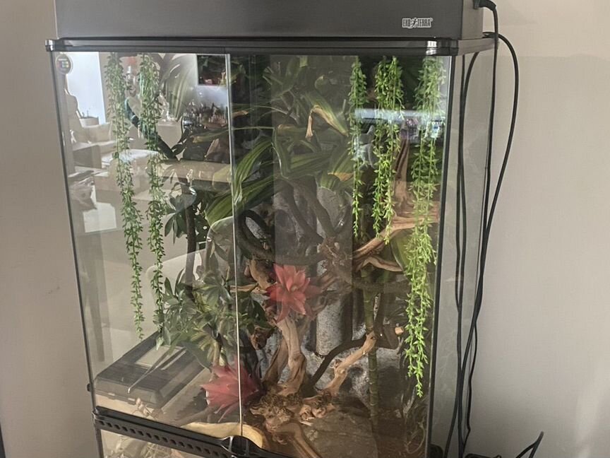 Террариум для хамелеона