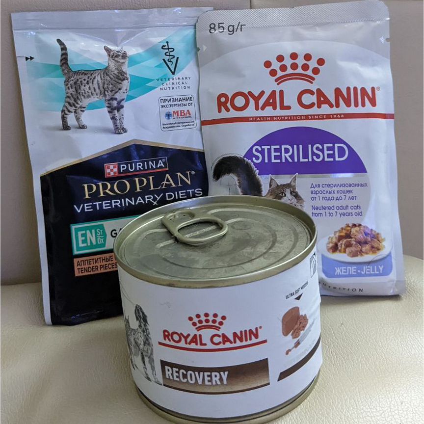 Корм для кошек royal canin recovery