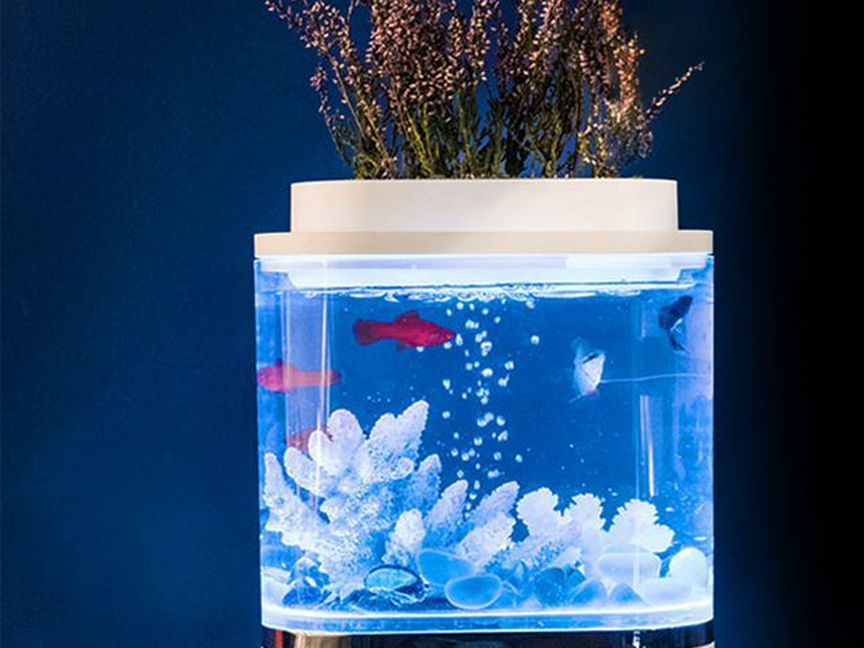 Аквариум xiaomi