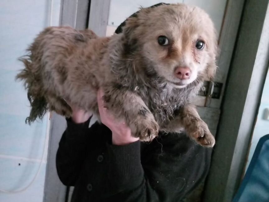 Какая красота а отлове