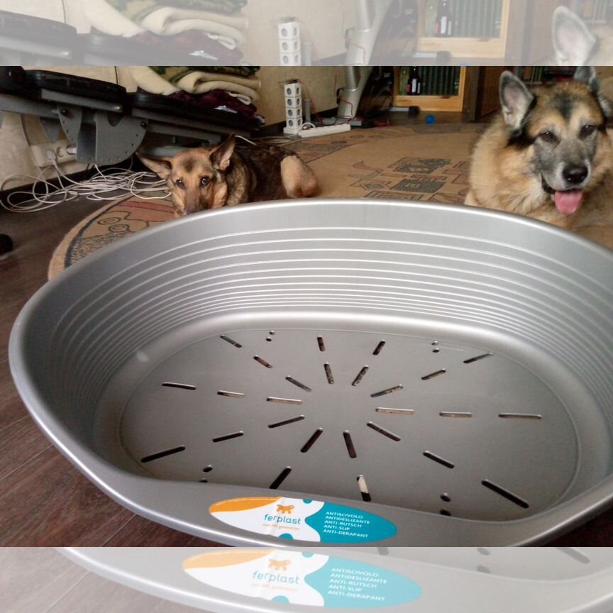 Лукошко для собаки среднего размера