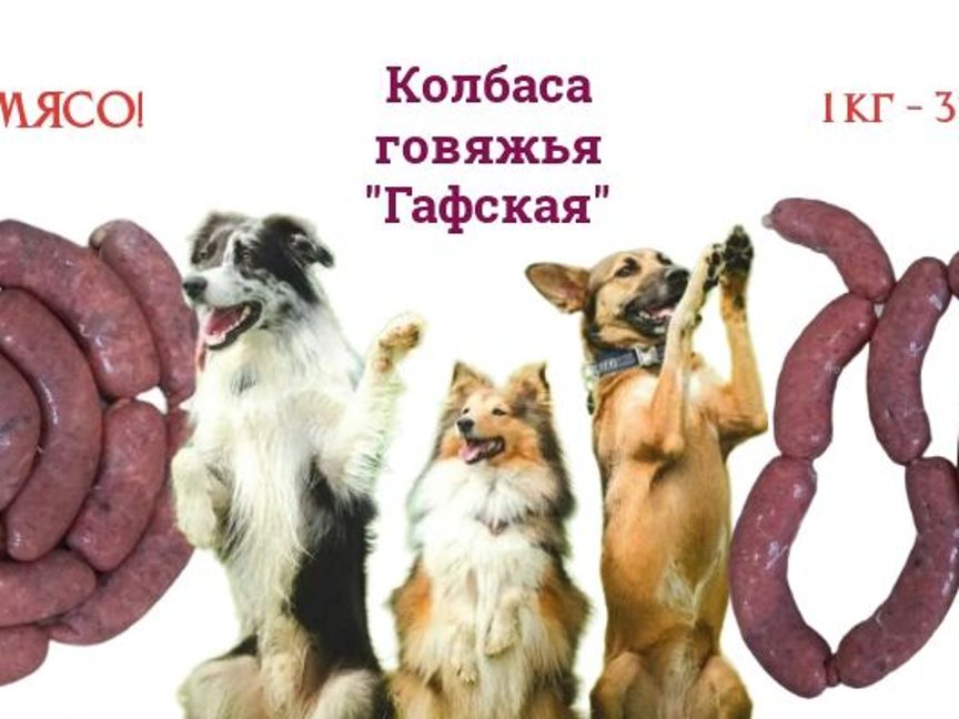 Корм д/собак - Колбаса говяжья "Гафская"