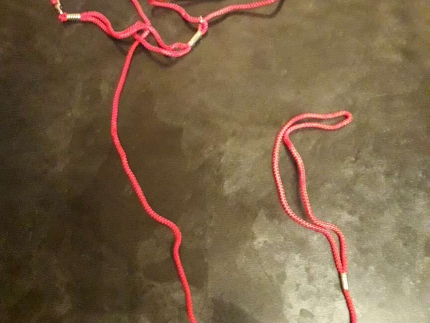 Ринговка для собак