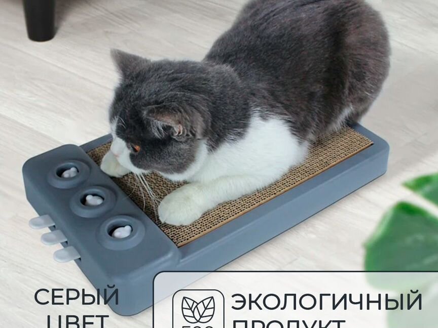 Когтеточка со сменным блоком