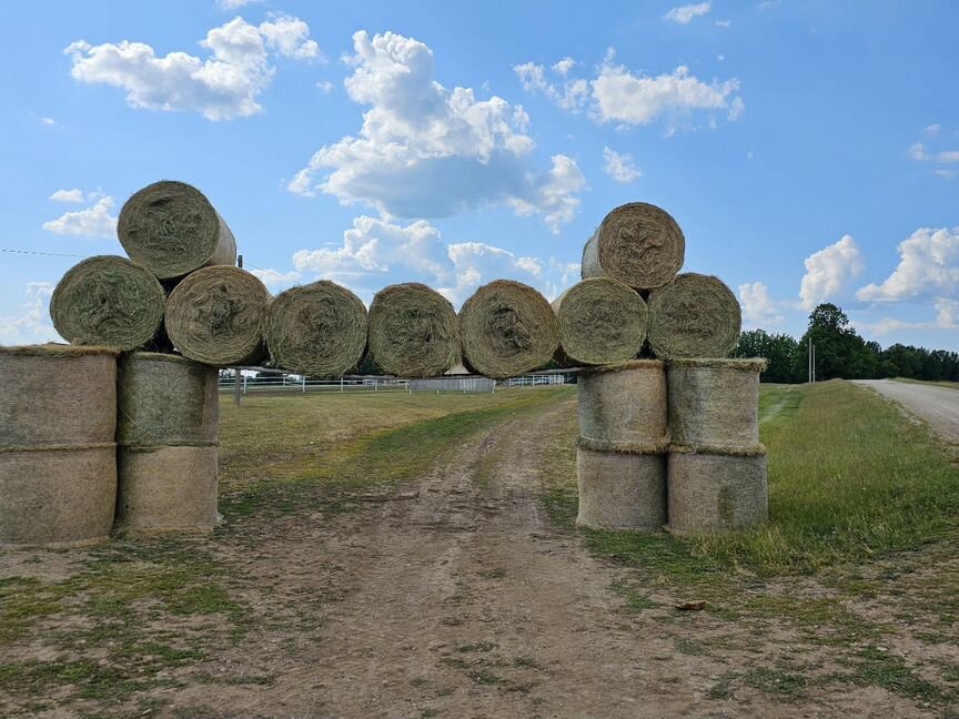 Сено в рулонах