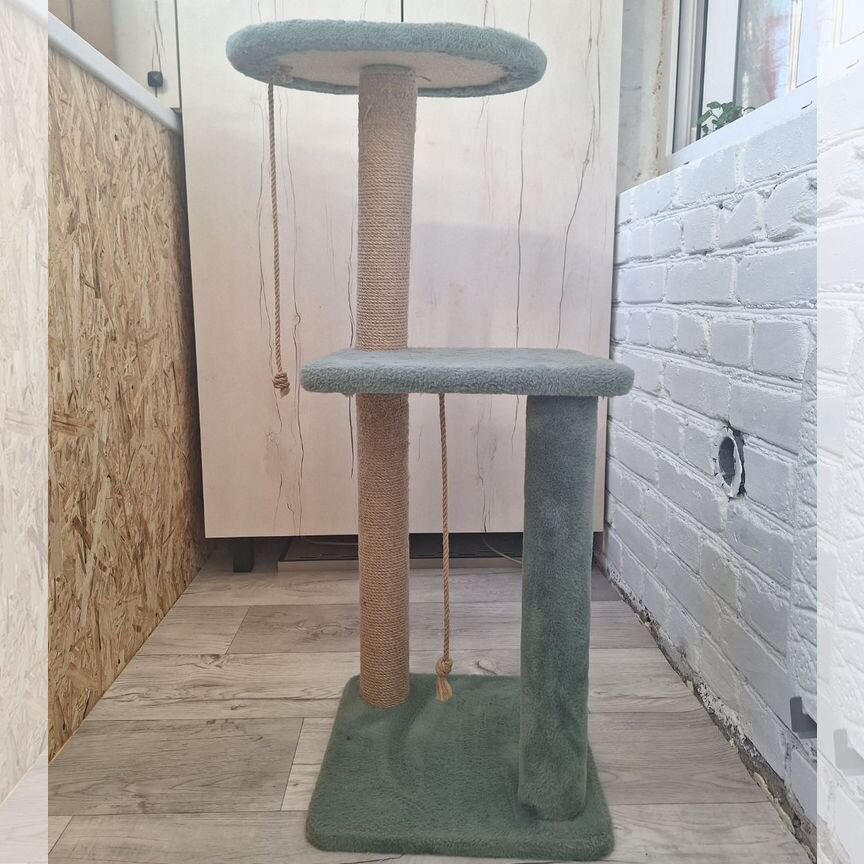 Когтеточка