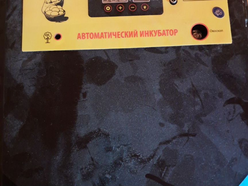 Инкубатор для яиц автоматический бу