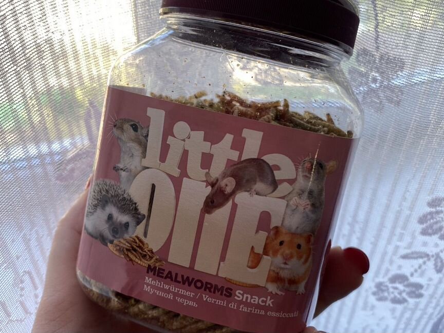 Мучной червь сухой Little one