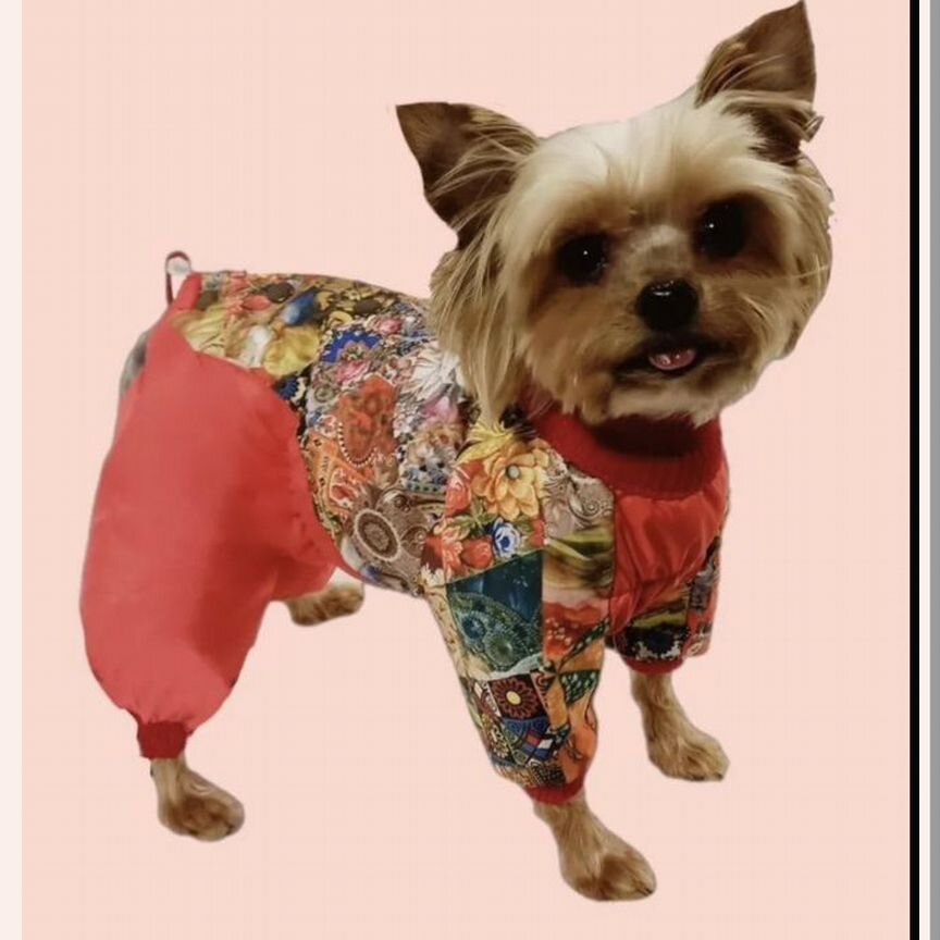 Зимняя одежда для собаки