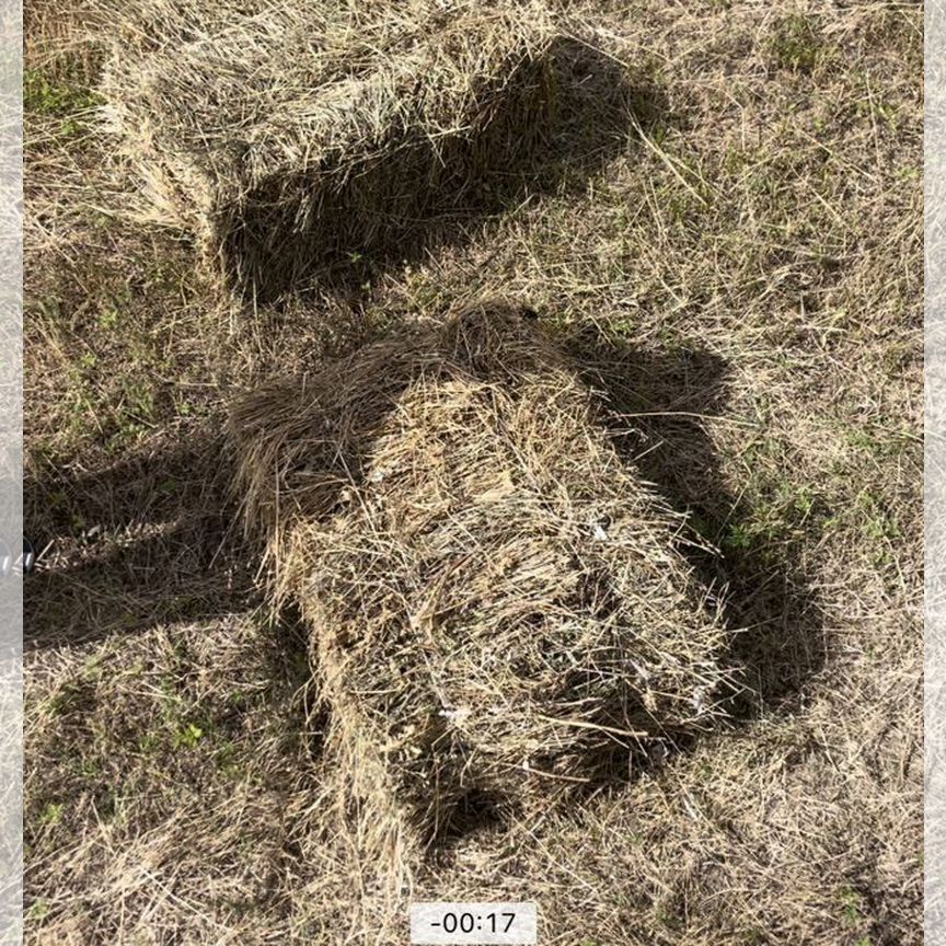 Сено луговое в тюках