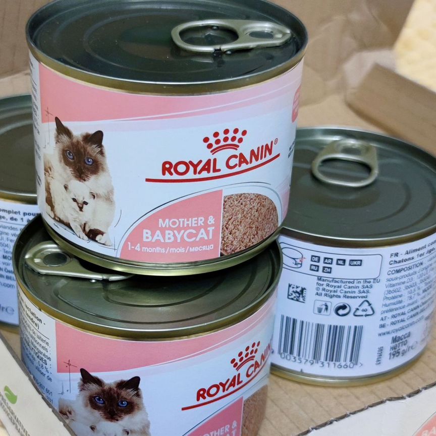 Влажный корм Royal Canin Mother & Babycat