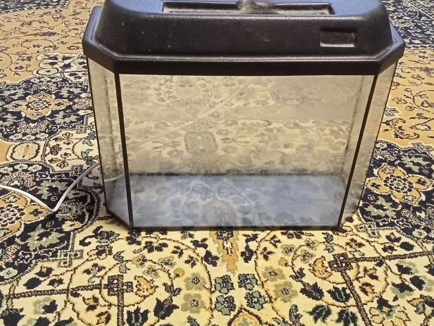 Аквариум