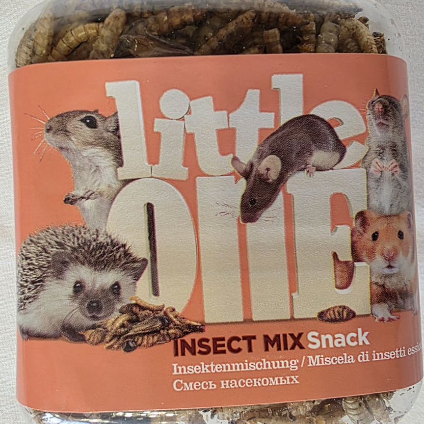 Корм, поилка и колесо для хомяков вместе