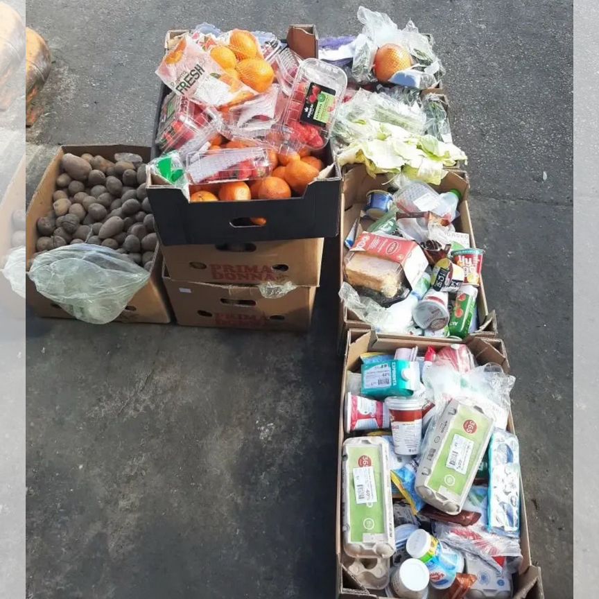 Продукция для животных