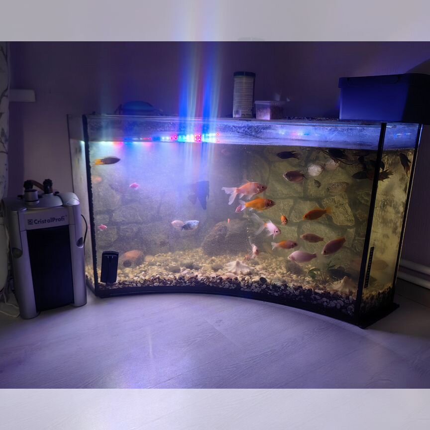 Аквариум со всем содержимым что есть на фото