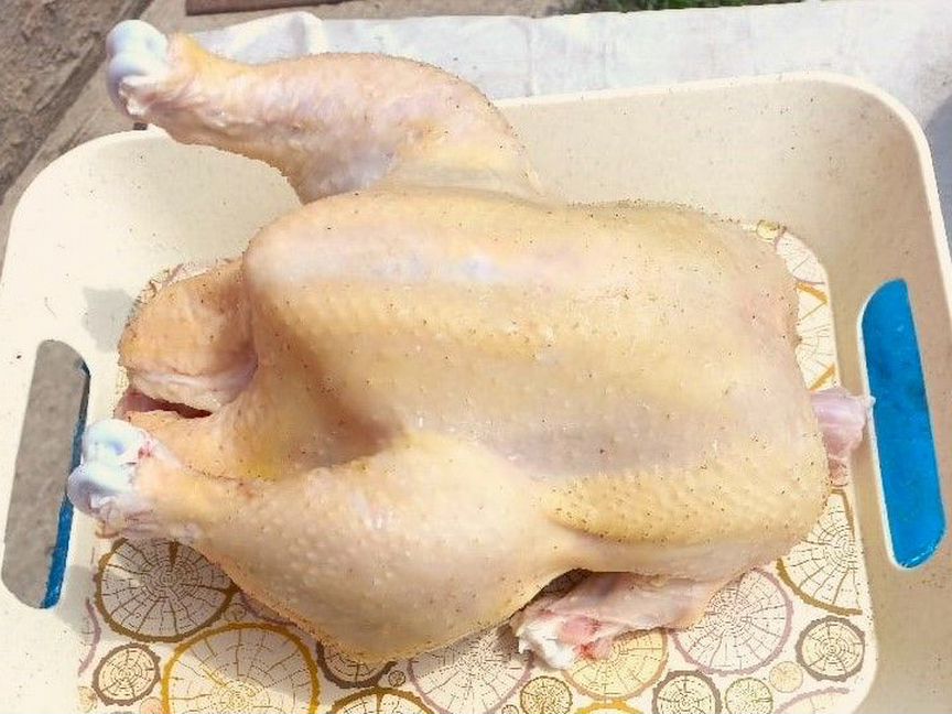 Бройлер тушки