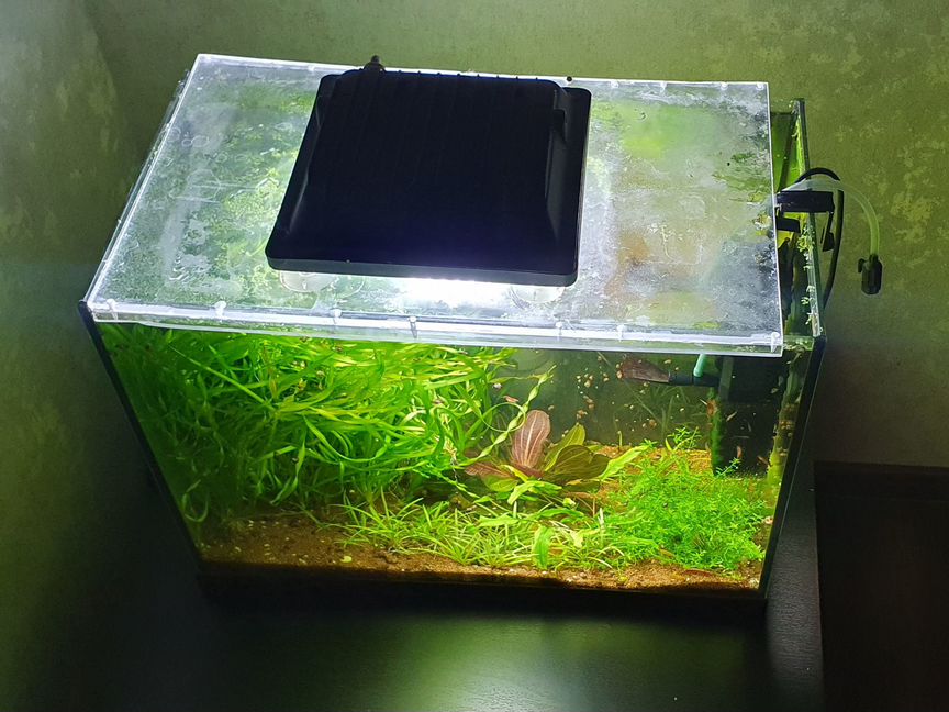 Аквариум 30 литров