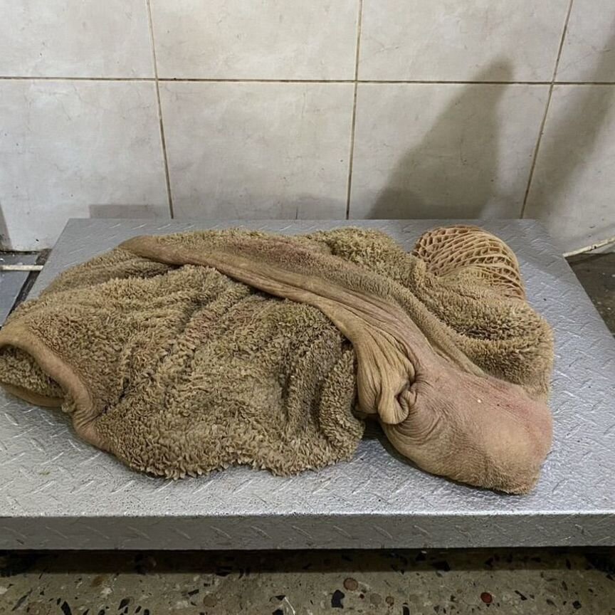 Рубец говяжий