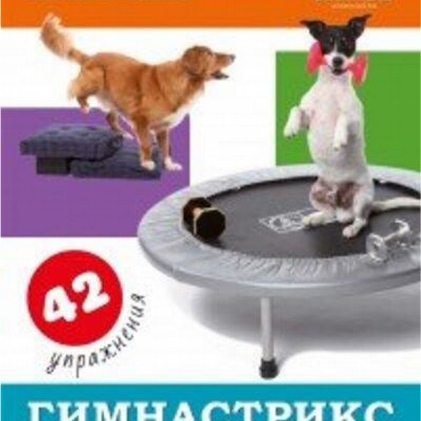 Майер К. Гимнастрикс: целенаправленная тренировка