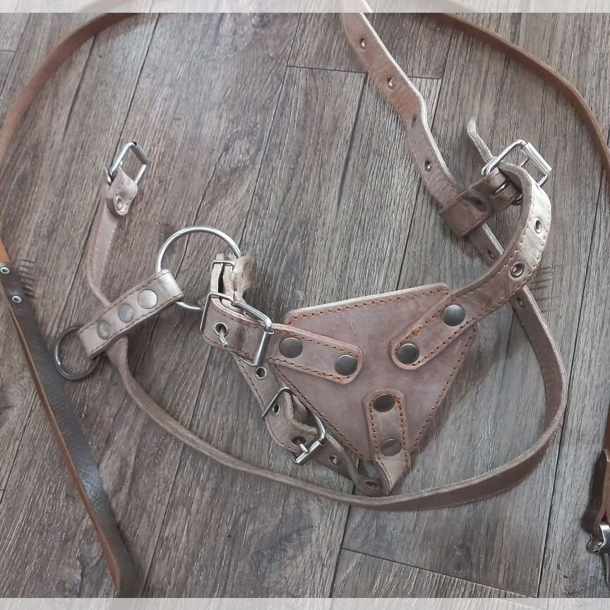 Шлея водильная для средней собаки