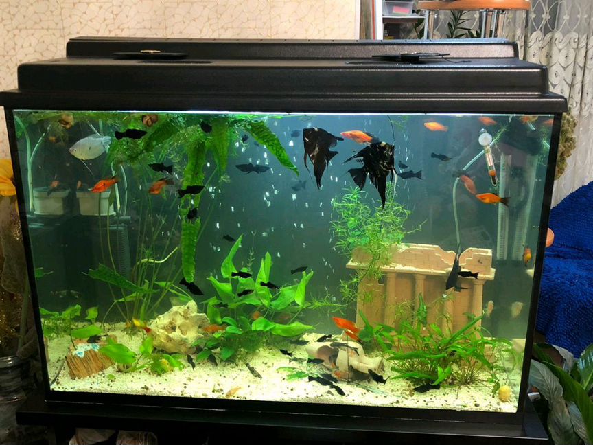 Продам аквариум 320л