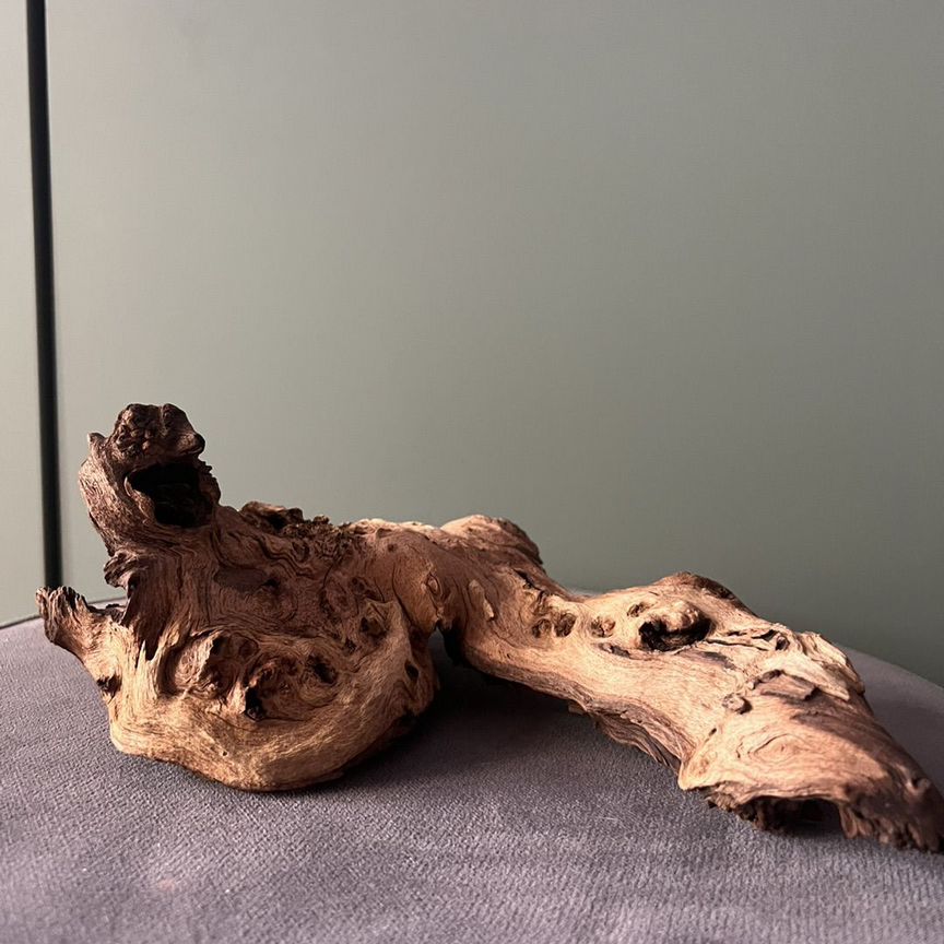 Коряга в аквариум