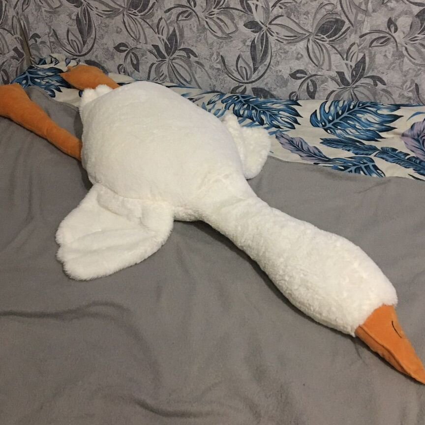 Гусь обнимусь