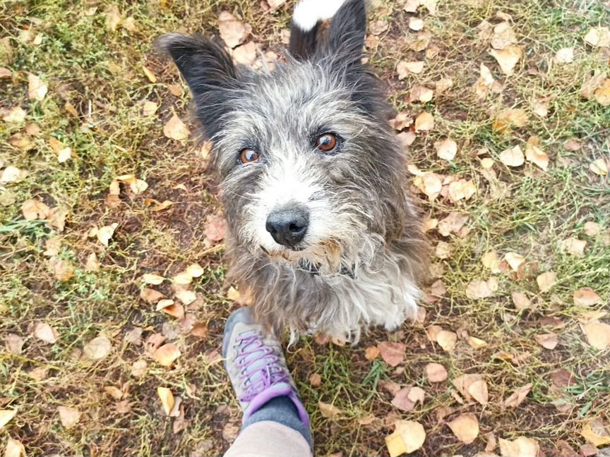 Шанс выжить для Жасмин