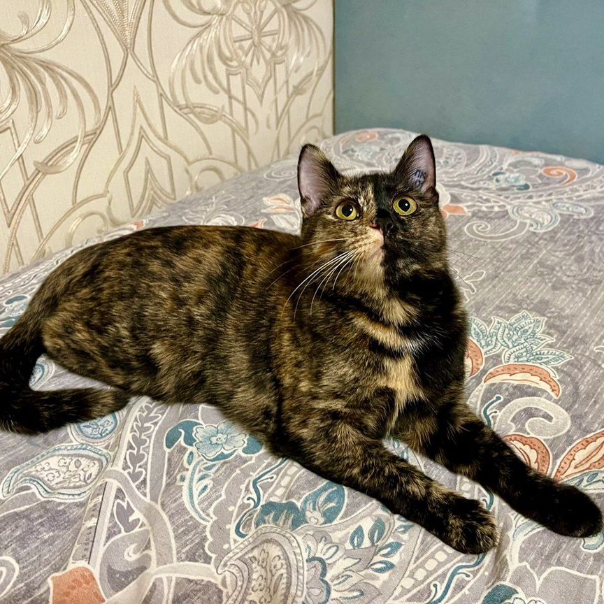 Ласковая забавная девочка