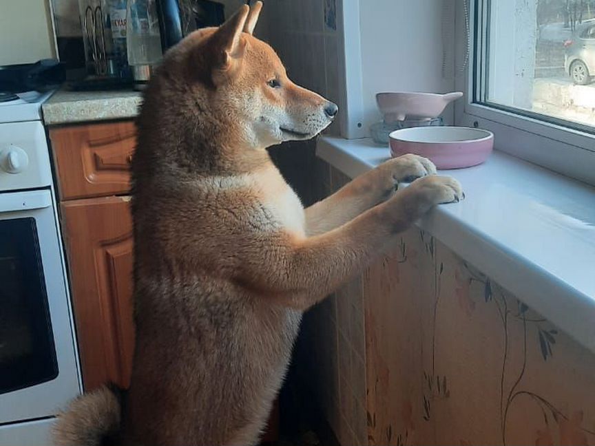 Кабель Сиба для вязки