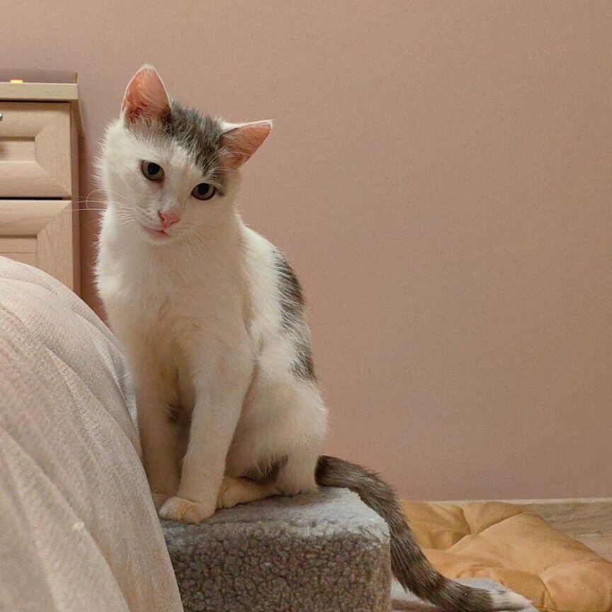 Пьеро нужен дом