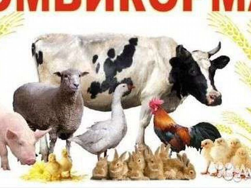Комбикорма