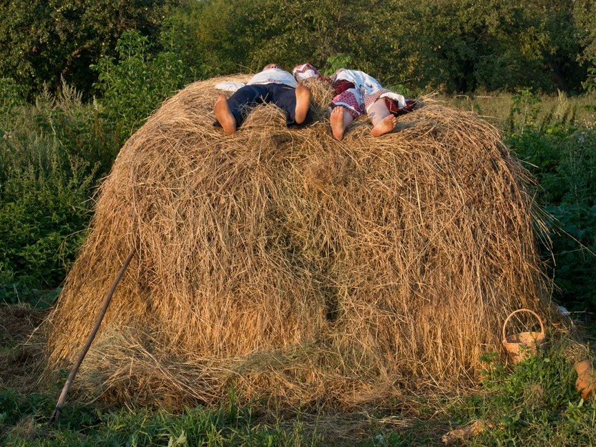 Продам сено